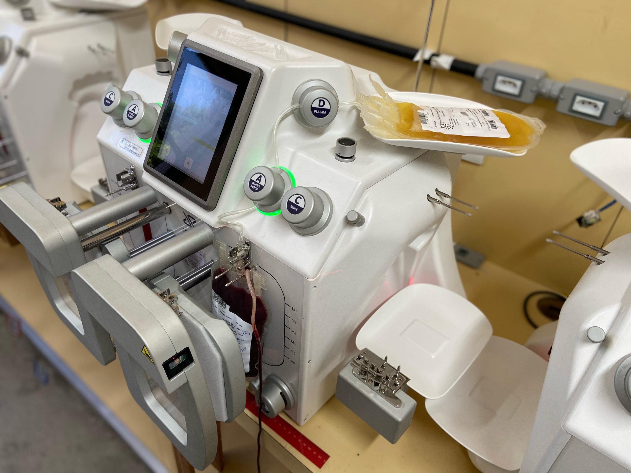 Hemonorte é destaque na produção de plasma para medicamentos